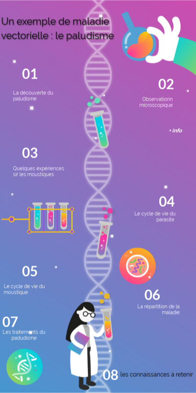 paludisme | Genially