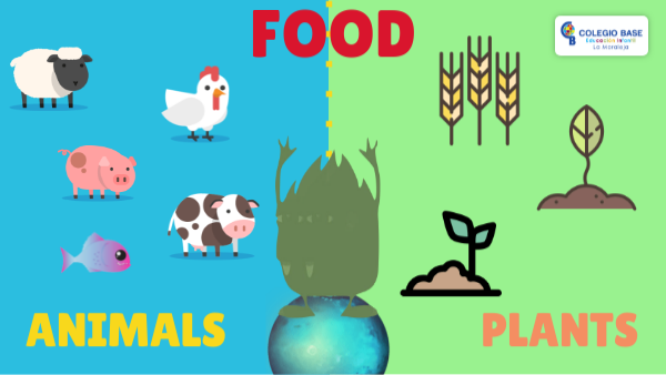 Types of food