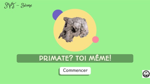 Primate? Toi même! copie | Genially