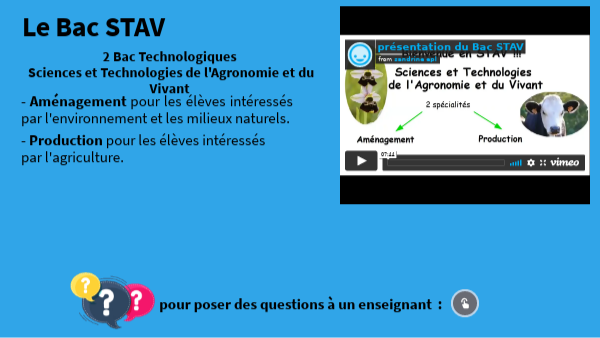 le Bac Techno STAV (2 options) - Lycée de Pixérécourt