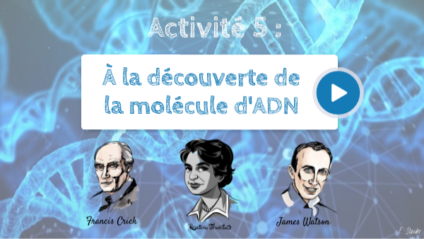 Activité 5 - SVT - Niveau 2nde | Genially