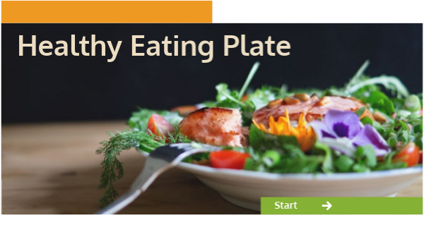 Healthy Eating Plate