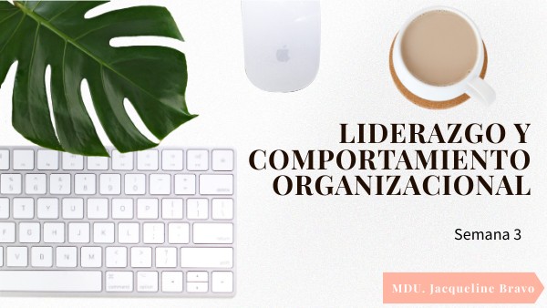 S3 Liderazgo y Comportamiento organizacional