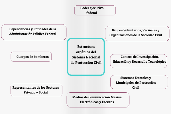 Estrucutura organica sinaproc 2 | Genially