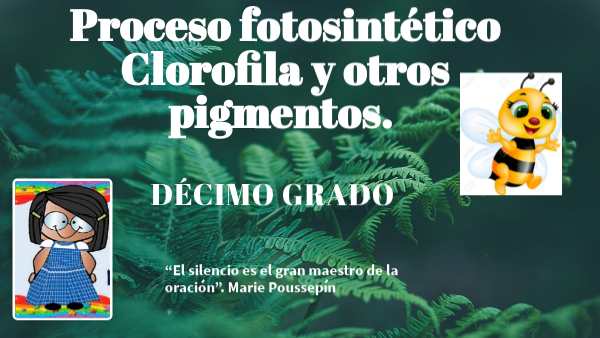 CLOROFILA | Genially