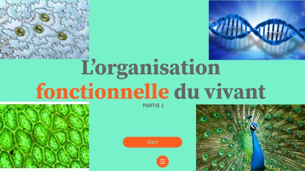 cours_thème_01_svt_seconde | Genially