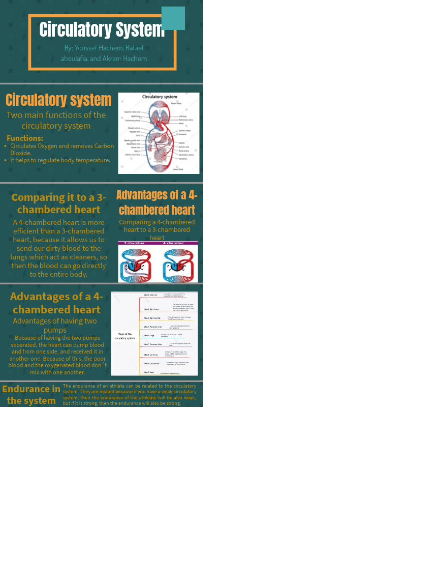 Circulatory system poster | Genially