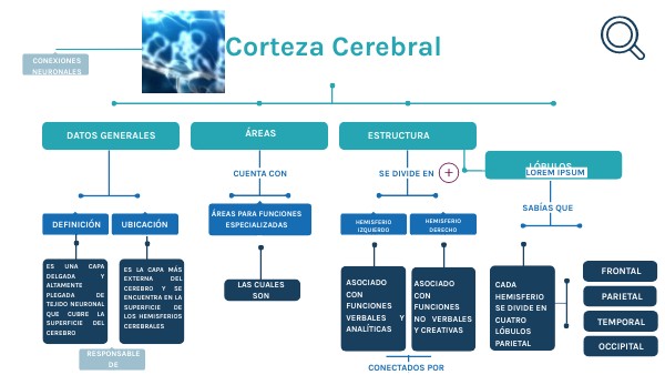 MAPA CONCEPTUAL CORTEZA CEREBRAL | Genially