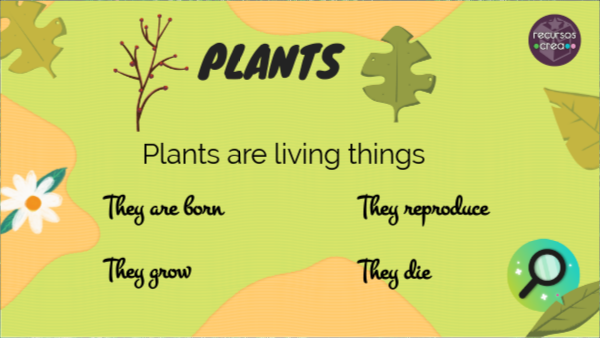 plants needs | Genially