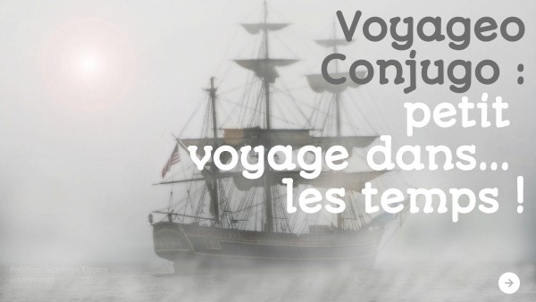 Jeu de plateaux Voyageo Conjugo