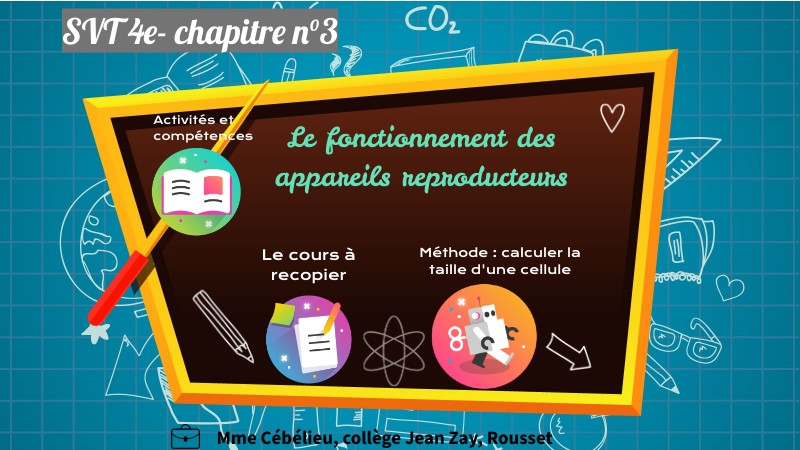 PDT n°4 4e 2020-2021 | Genially