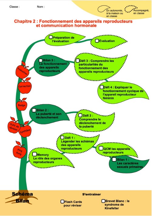 2021 - 4°Partie B Chapitre 2 | Genially
