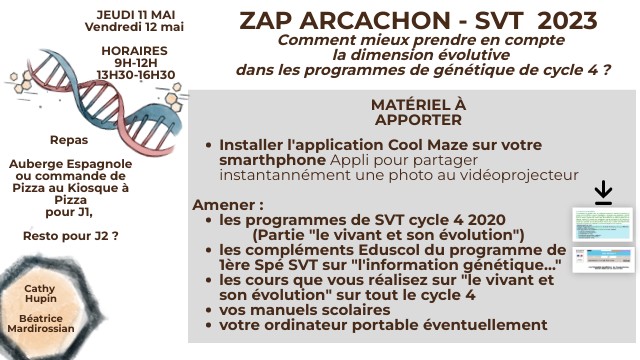 Copie - ZAP COLLEGE 2023 | Genially