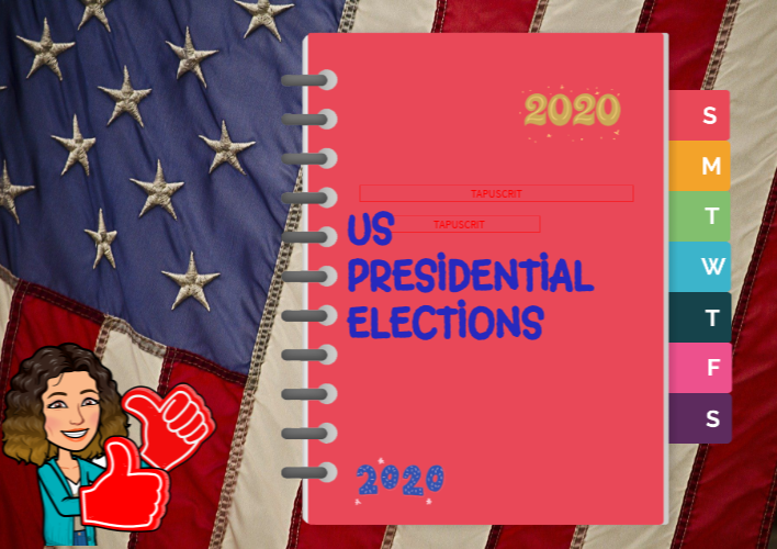 US ELECTIONS 2020 by N.Marschall copie