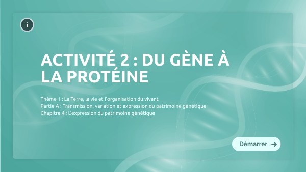 CH4- Act2- Du gène à la protéine | Genially