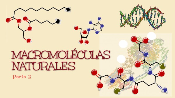 MACROMOLECULAS NATRUALES - PARTE 2 | Genially