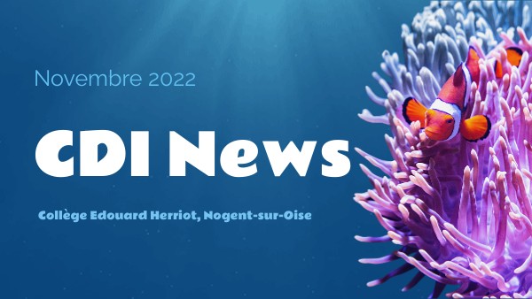 CDI News Novembre 22 | Genially