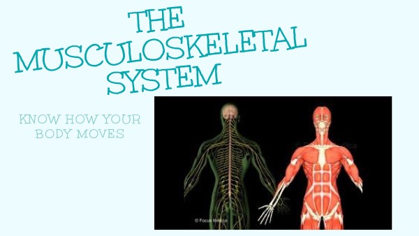 THE MUSCULOSKELETAL SYSTEM | Genially
