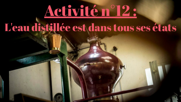 L'eau distillée est dans tous ses états - version ENT | Genially