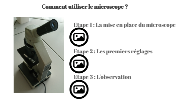 Fiche technique microscope | Genially