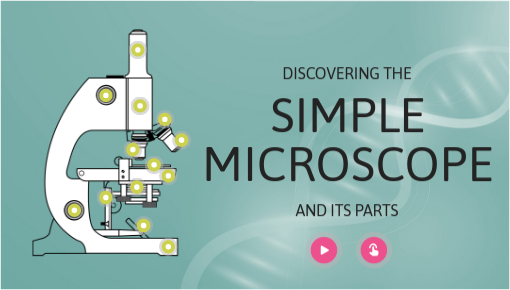 discovering the simple microscope | Genially