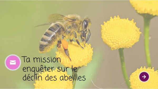 Enquête : La disparition des abeilles | Genially