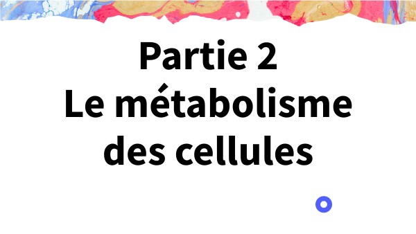 PROF - Métabolisme secondes