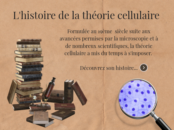La théorie cellulaire | Genially