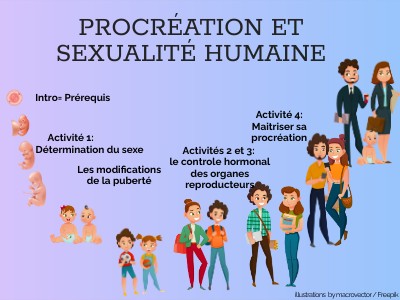 La procréation et la sexualité humaine | Genially