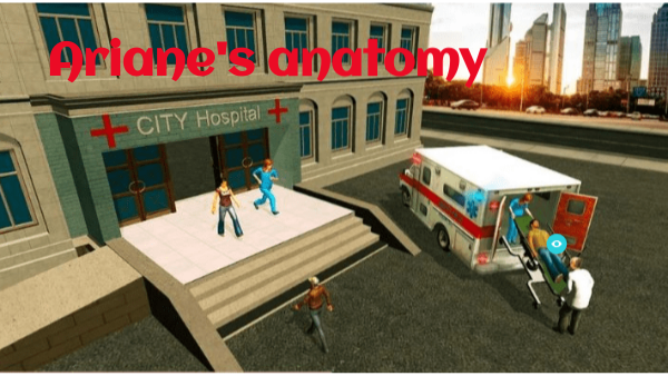 Ariane's Anatomy 2023 | Genially