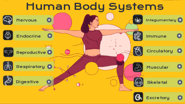 Body Systems | Genially