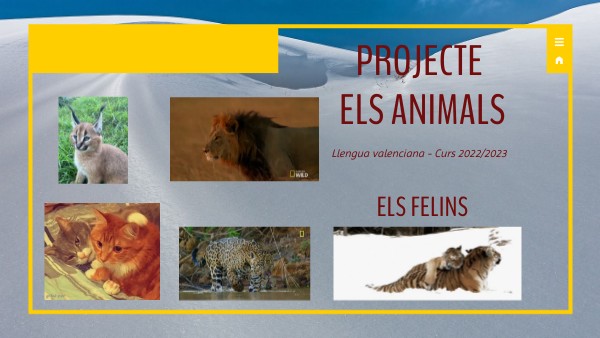 Projecte valencià - Els animals - Els felins | Genially
