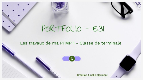 Portfolio - E31 - Classe de terminale MCVA - 2023 | Genially