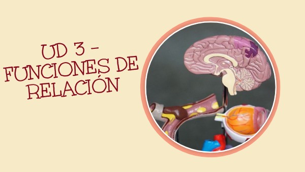 UD 3 - Las funciones de relación | Genially