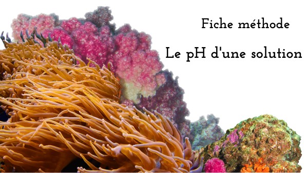 Fiche méthode pH 5° pour photocopie | Genially