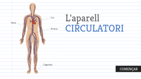 L'aparell circulatori
