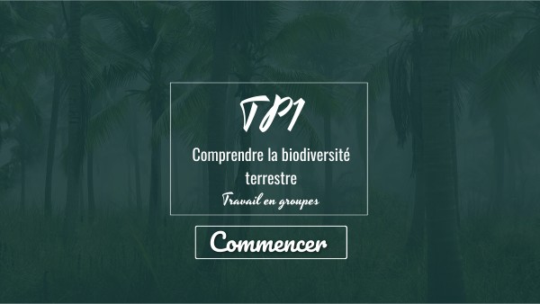 TP1 - Biodiversité - 2024 | Genially