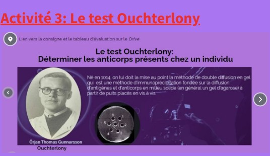 Activité 3 Ouchterlony