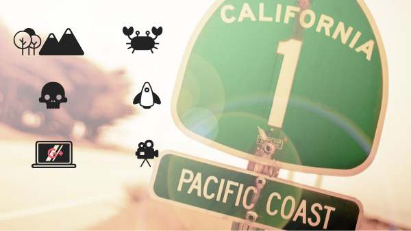 My dream job in California