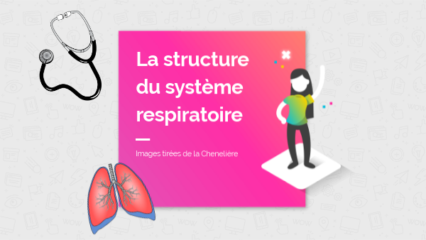 Système respiratoire | Genially