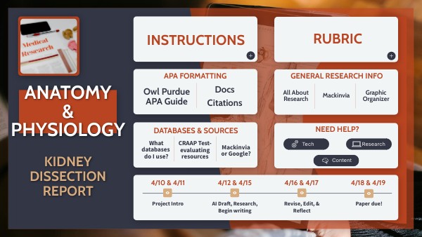 A&P Research | Genially
