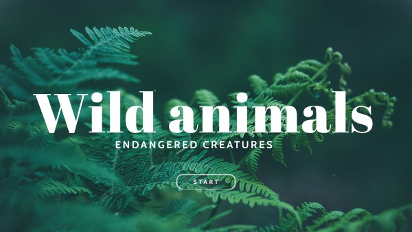 Wild animals | Genially