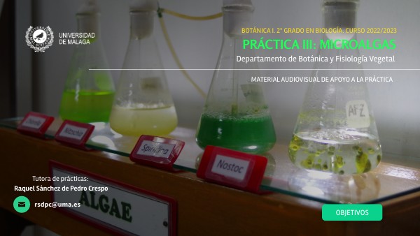 Práctica III : Microalgas