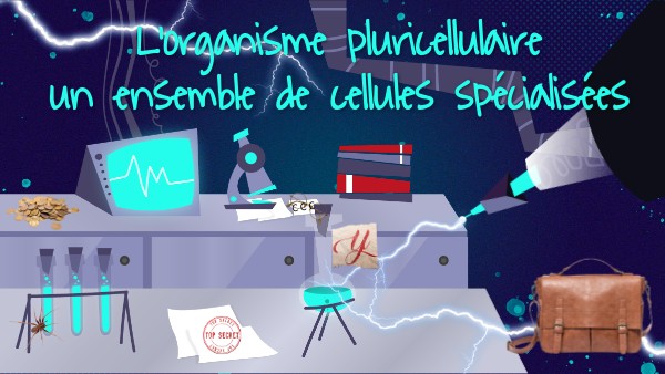 Cellules specialisées seconde | Genially