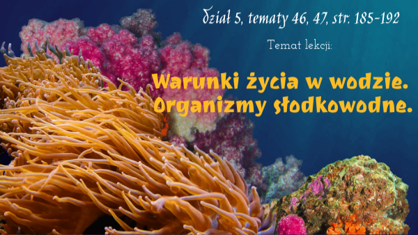 Warunki_w_wodzie_organizmy_slodkowodne | Genially