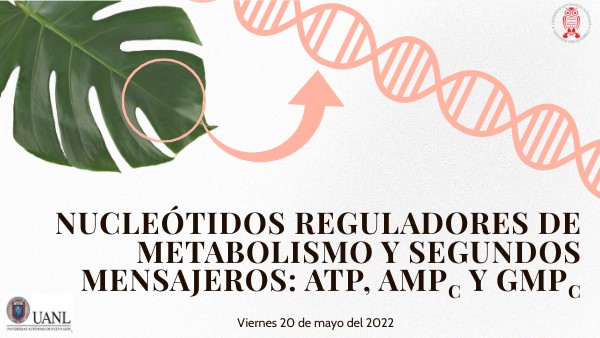 PIA ÁCIDOS NUCLEICOS_EQ4 | Genially