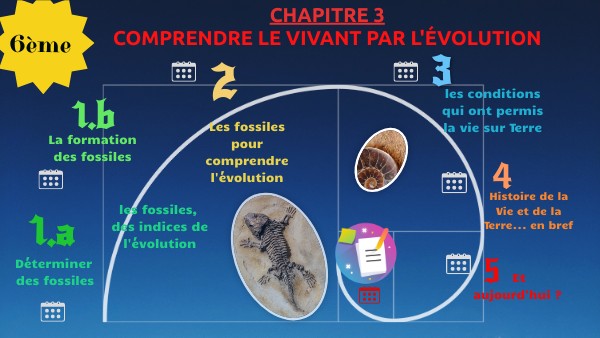 6è_chap3_evolution