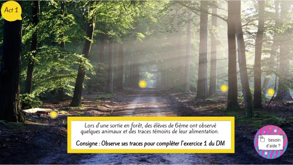 6è_chap6_act1