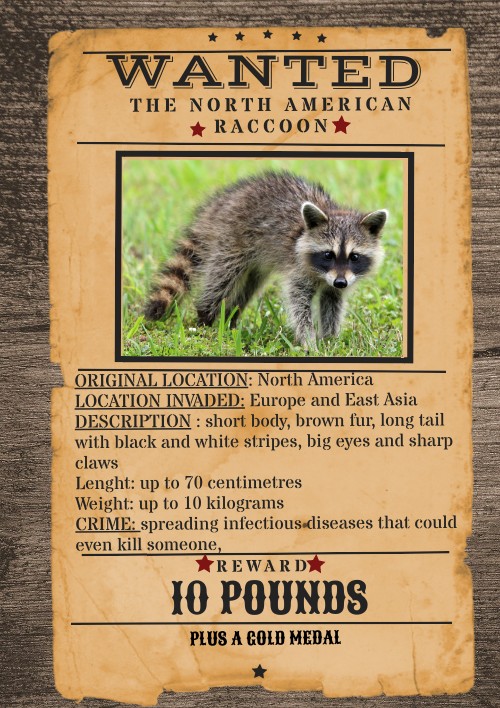 WANTED POSTER ALBA 4ºA