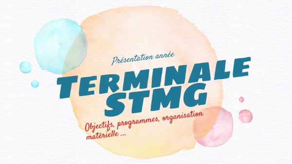 STMG - Présentation année